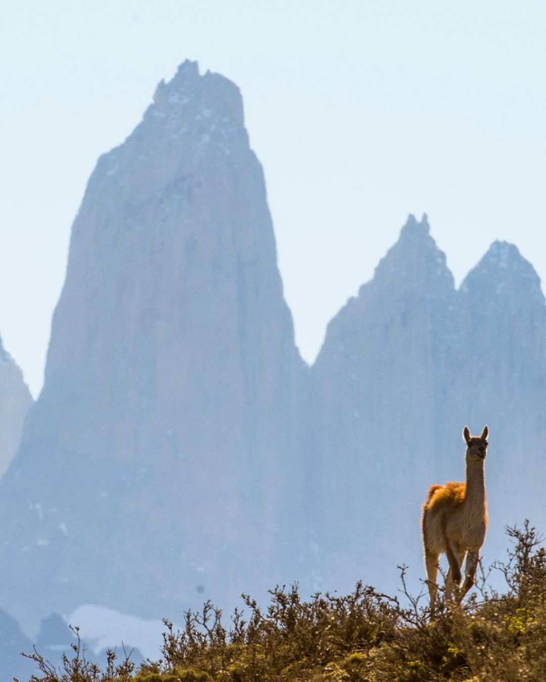 Your Guide to the Best of Patagonia National Park | Across South America